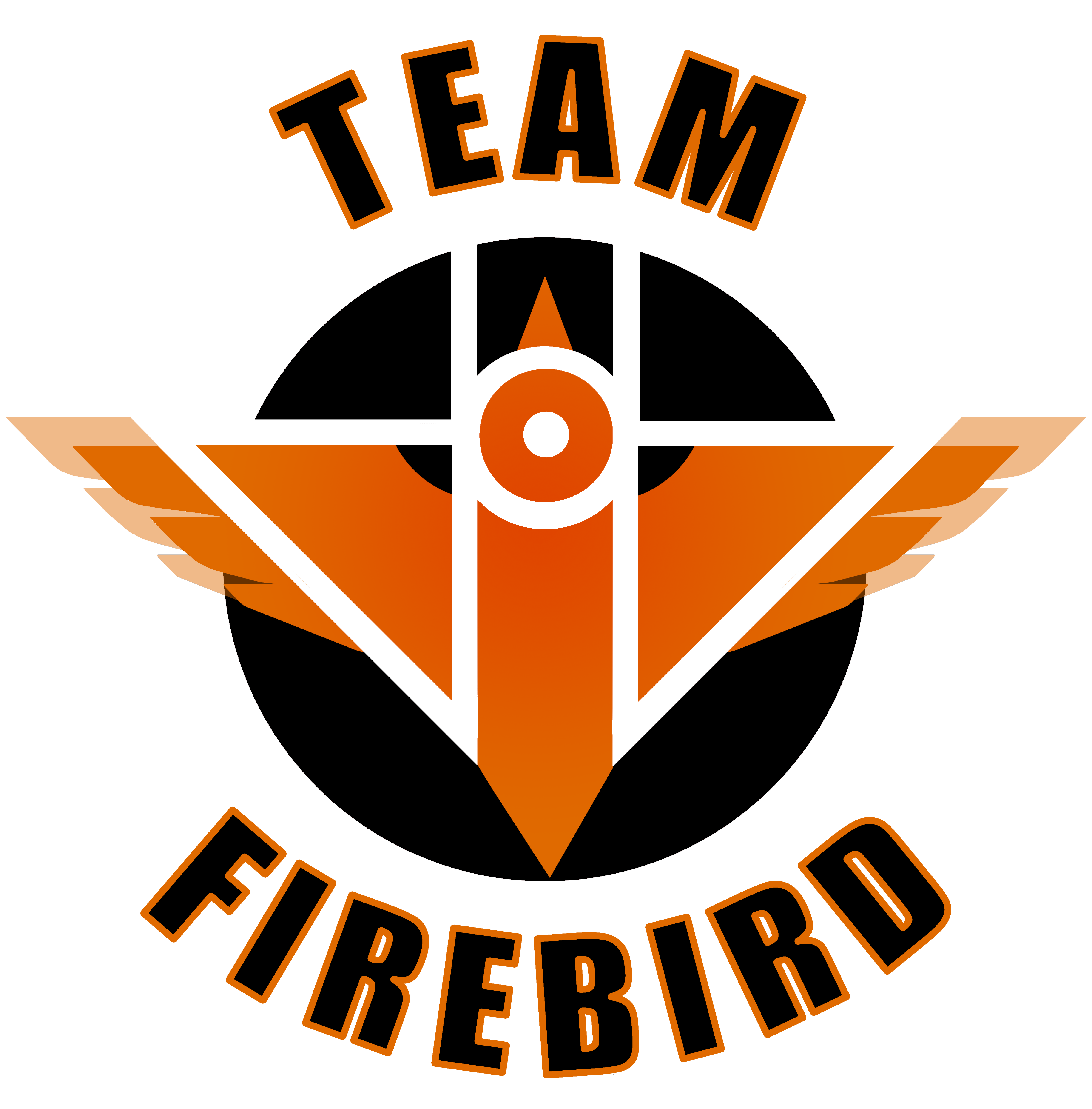 Team Firebird Jersey Design – M. L. Wang Books