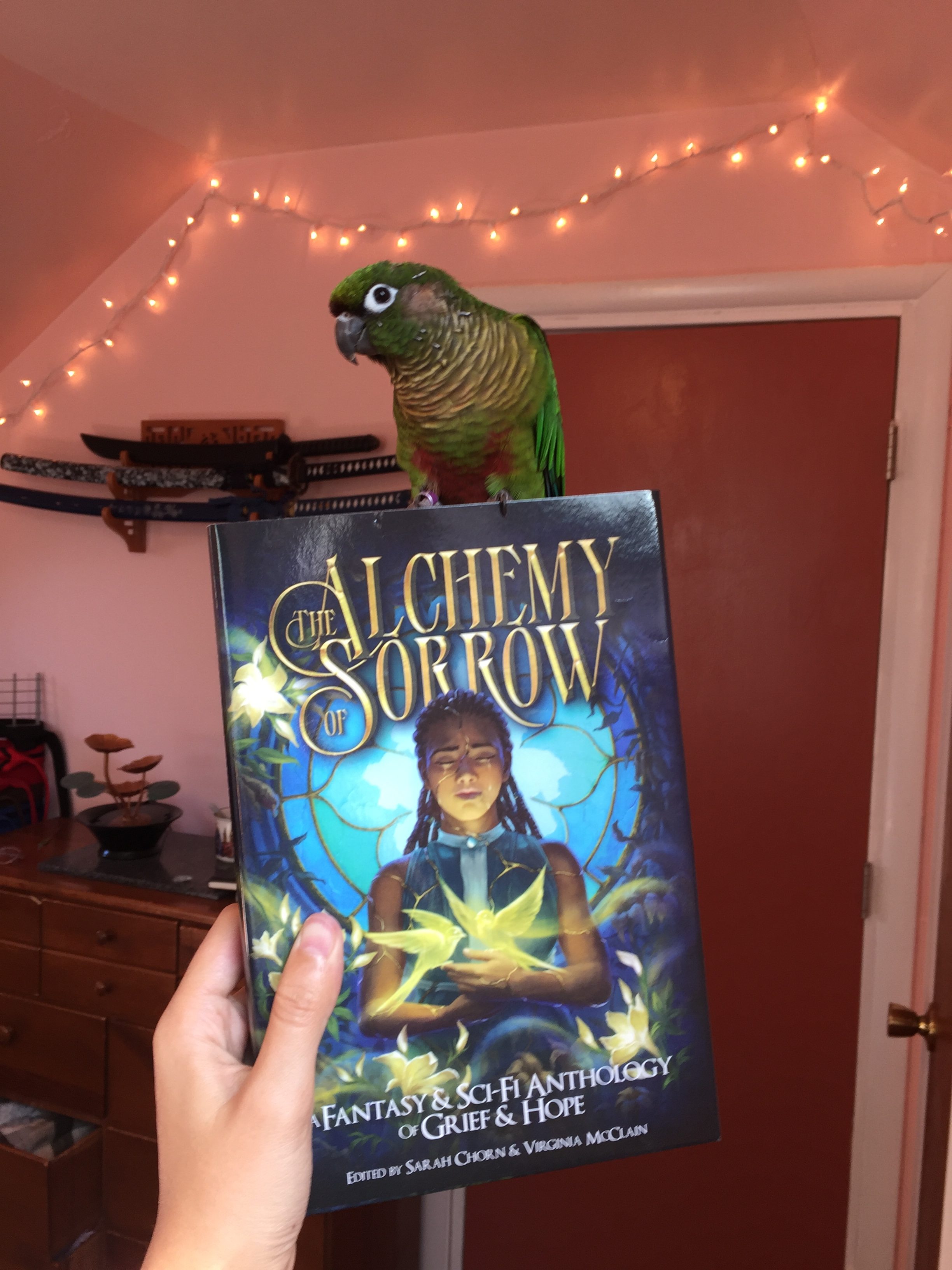 IMG_1726 – M. L. Wang Books