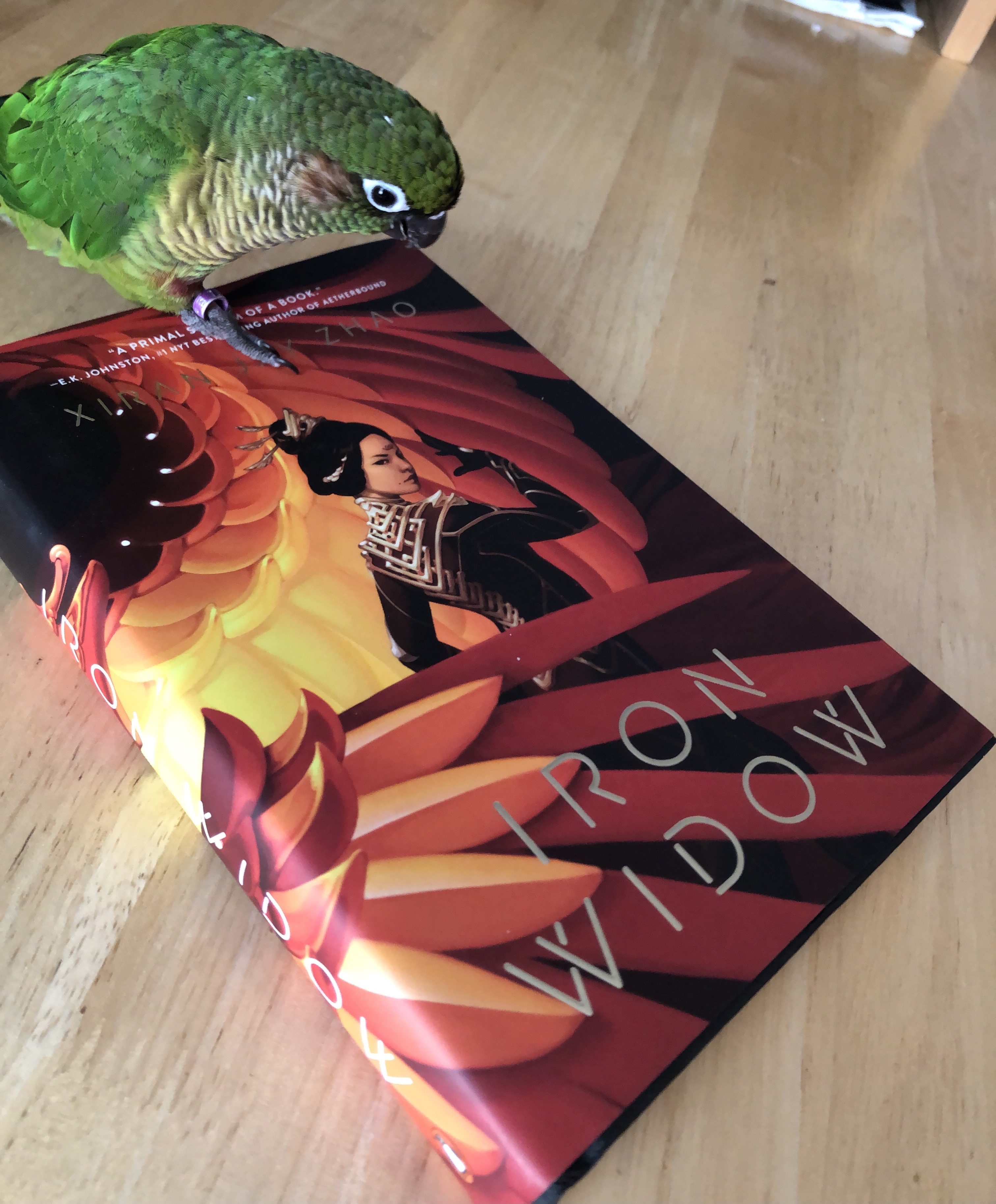 IMG_2940 – M. L. Wang Books