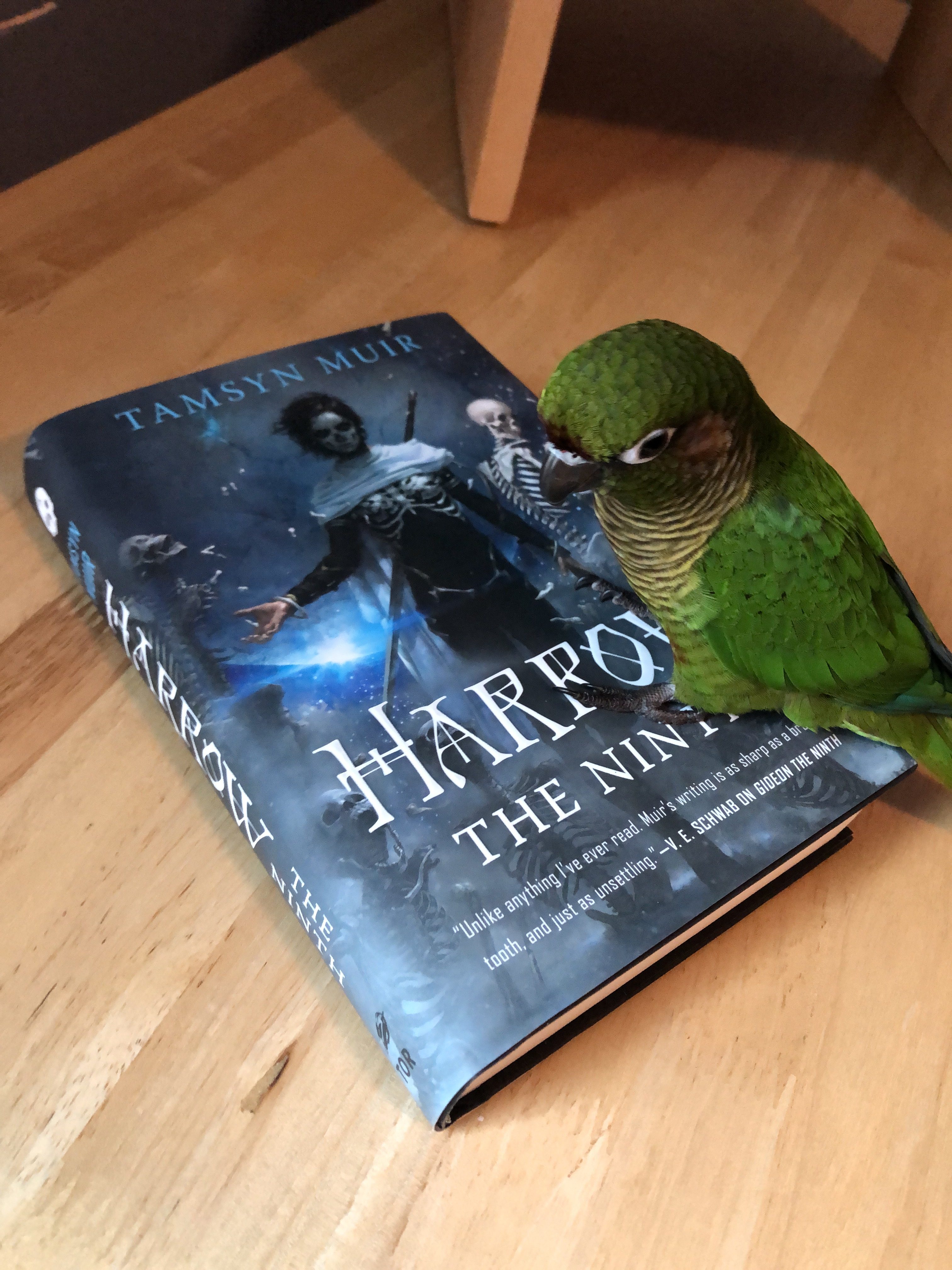 The Locked Tomb Series Harrow the Ninth by Tamsyn Muir Sulu fantasy ...